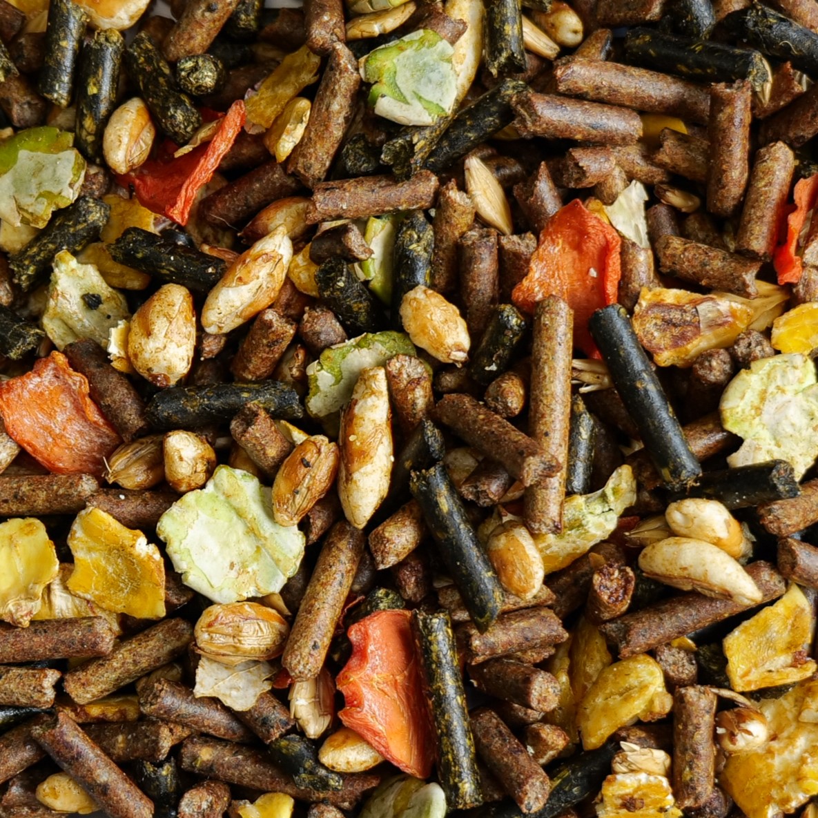 Regul Digest - LAMBEY S.A.S.